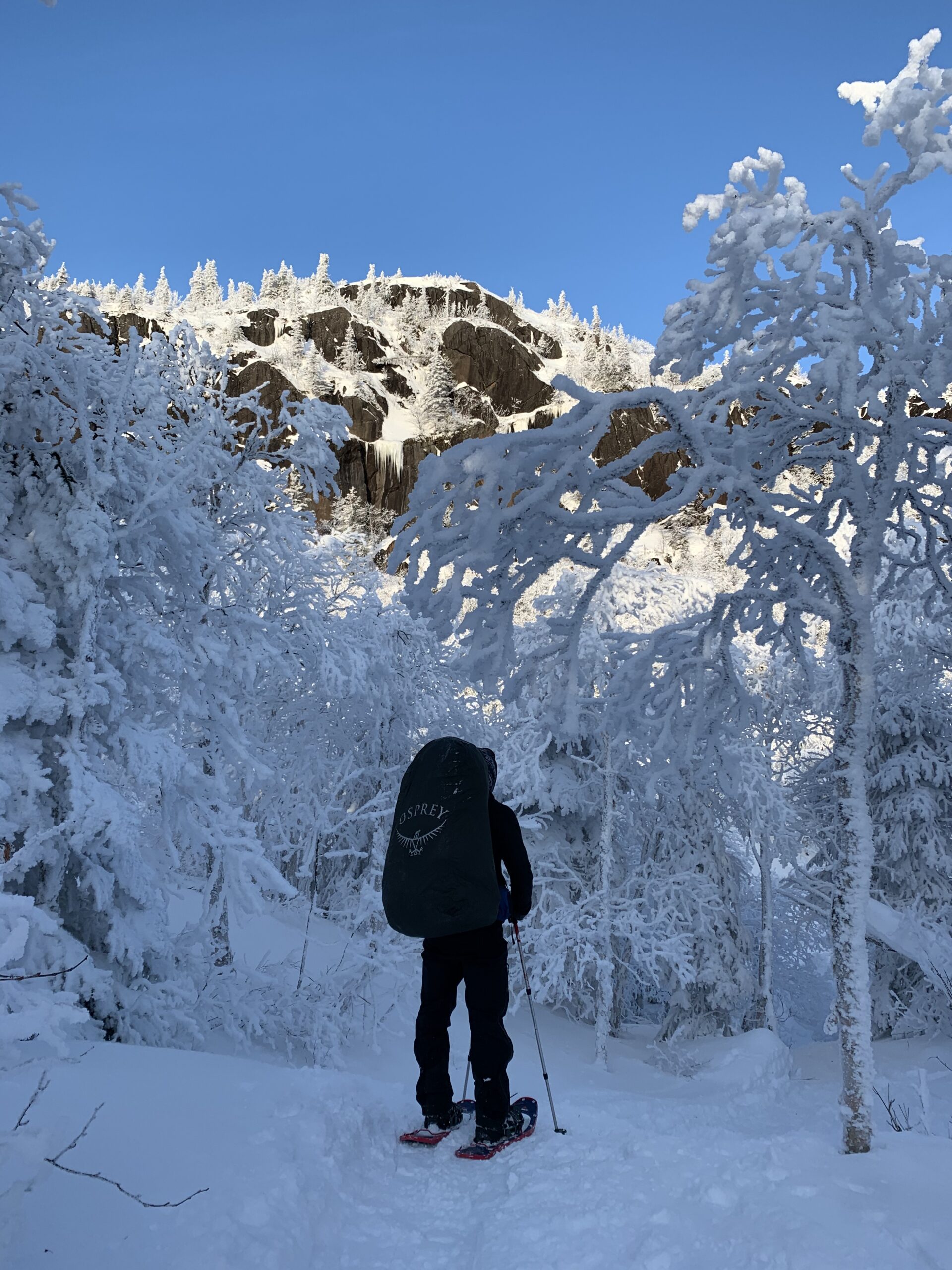 QUEBEC’S WINTER WONDERLAND FOR SNOWSHOEING:THE "VALLÉE DES FANTÔMES AT ...
