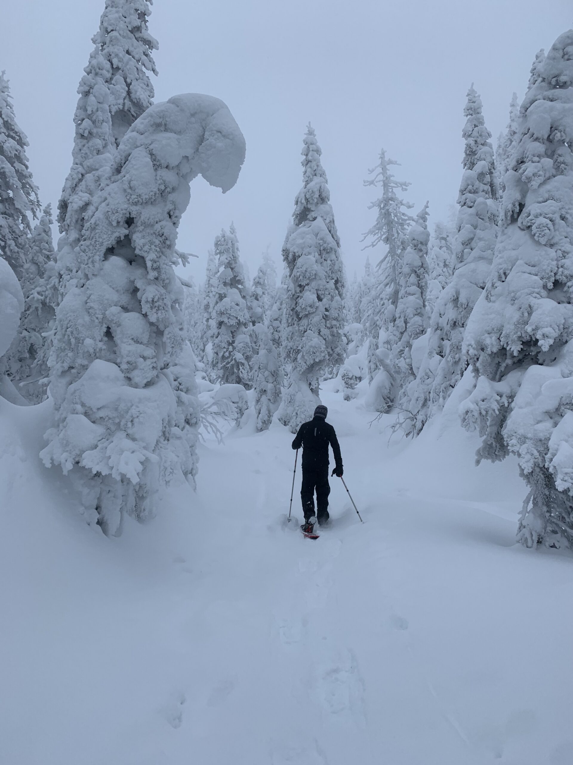QUEBEC’S WINTER WONDERLAND FOR SNOWSHOEING:THE "VALLÉE DES FANTÔMES AT ...