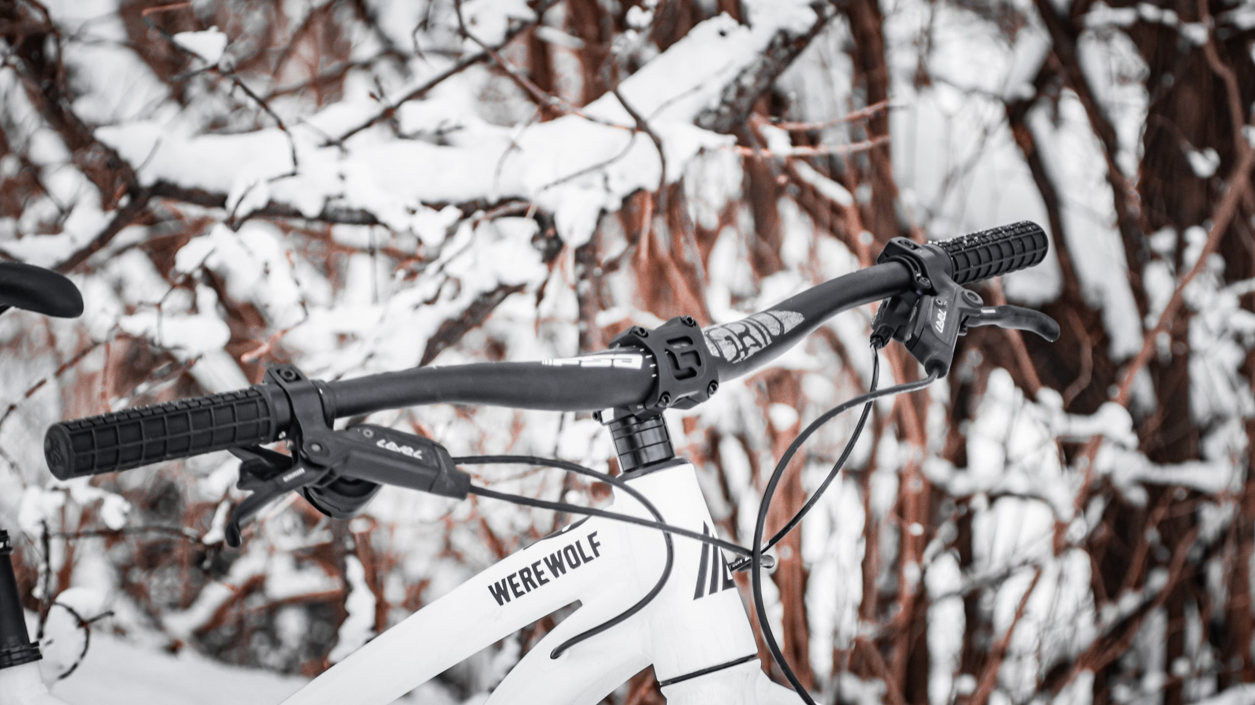 FSA Grid 20 Riser Handlebar Review: Strength, Comfort, and Control on ...